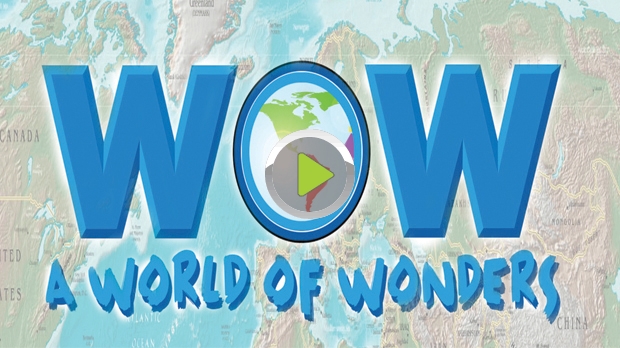 World of Wonders | The Fremantle Corporation | Screenings | C21Media